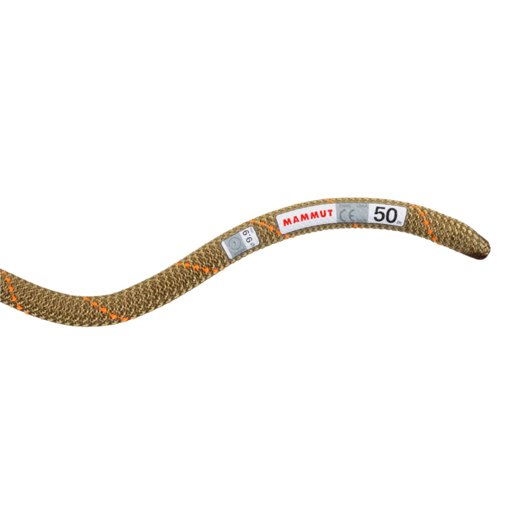Mammut - Gym Workhorse Classic Rope 9.9mm x 40m (single) – Lockwoods ...